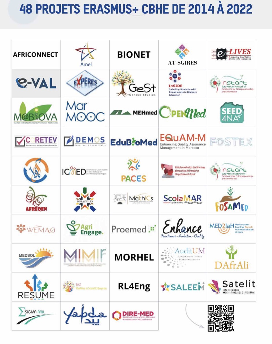 Les projets de renforcement de capacités dans l’enseignement supérieur ...
